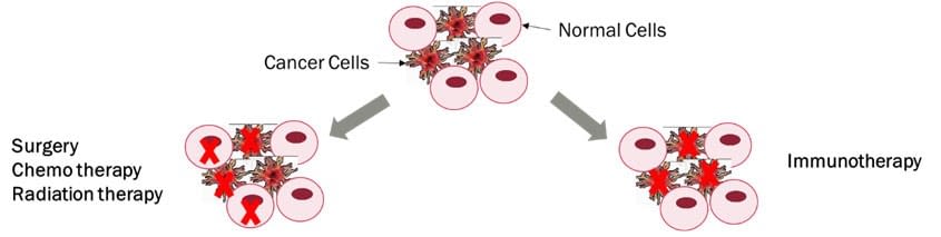 Immunotherapy (immuno-oncology) - Cellomatics Biosciences