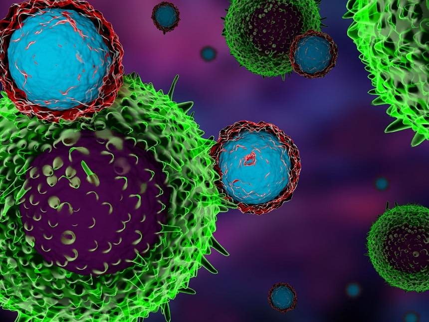 Immunotherapy (immuno-oncology) - Cellomatics Biosciences